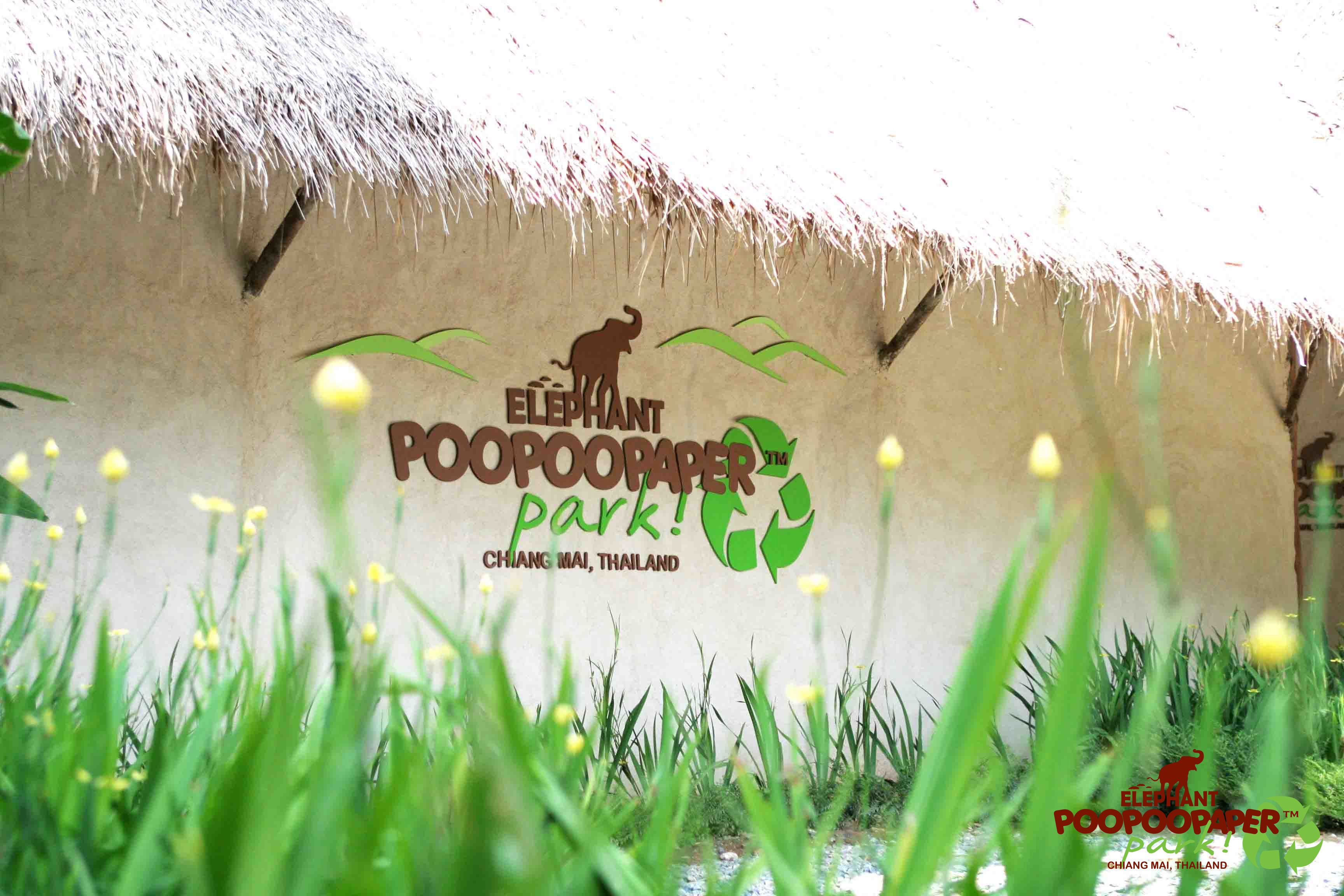 Elephant POOPOOPAPER Park - Travel it yourself. TAGTHAi