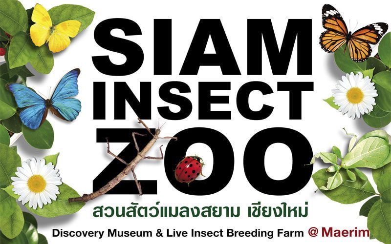 Siam Insect Zoo - Travel it yourself. TAGTHAi