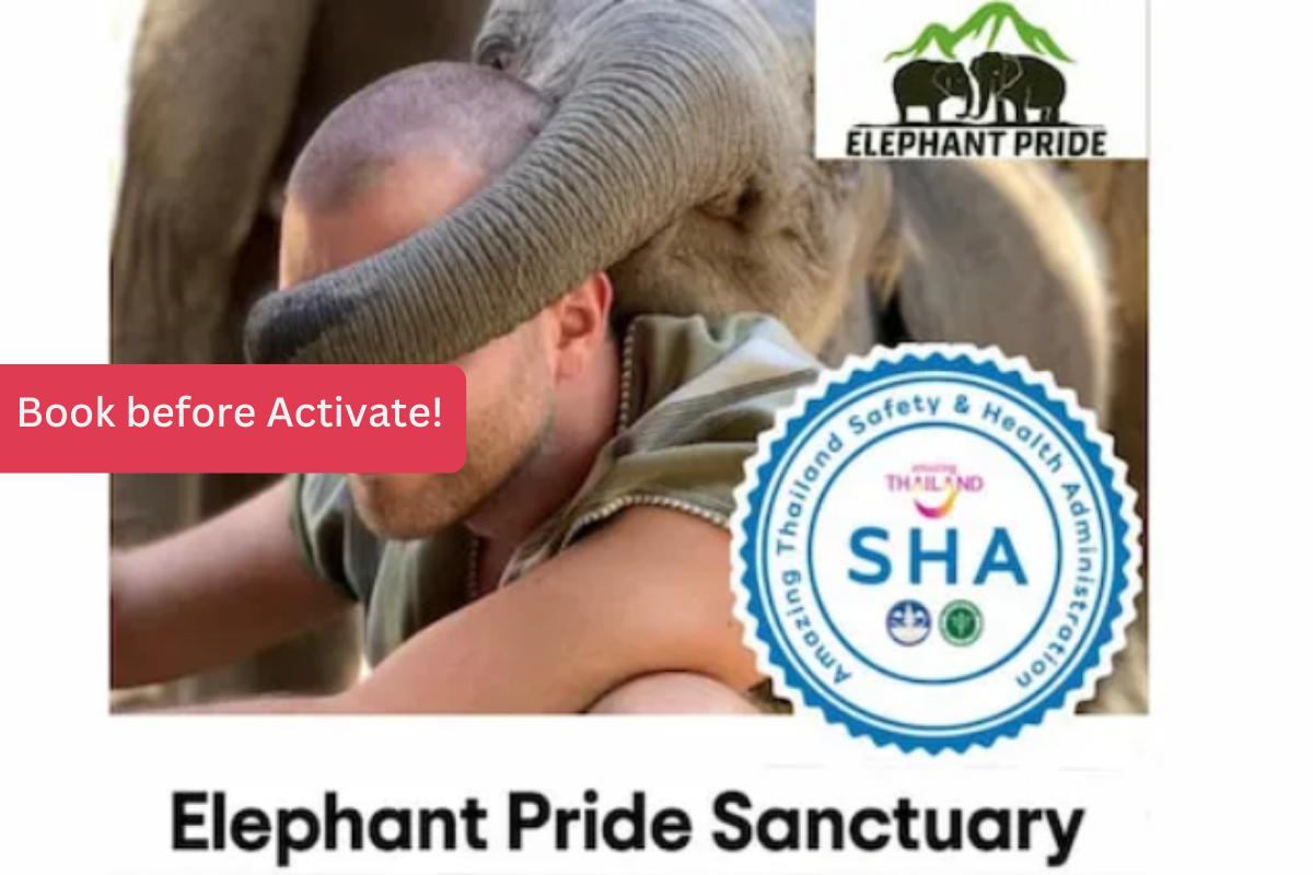 Elephant Pride Sanctuary - Travel it yourself. TAGTHAi
